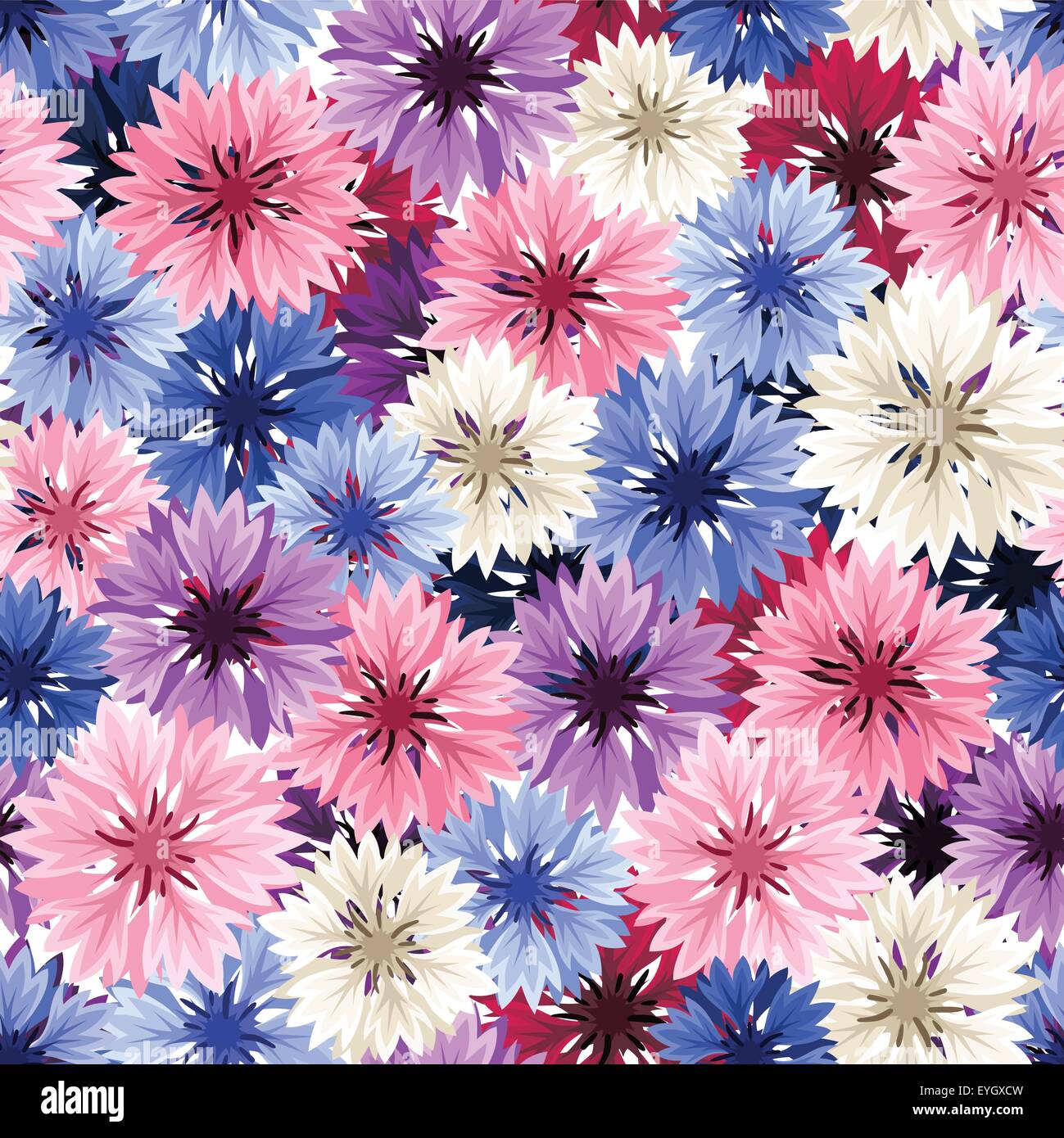 Seamless pattern with colorful cornflowers. Vector illustration Stock Vector Image & Art - Alamy
