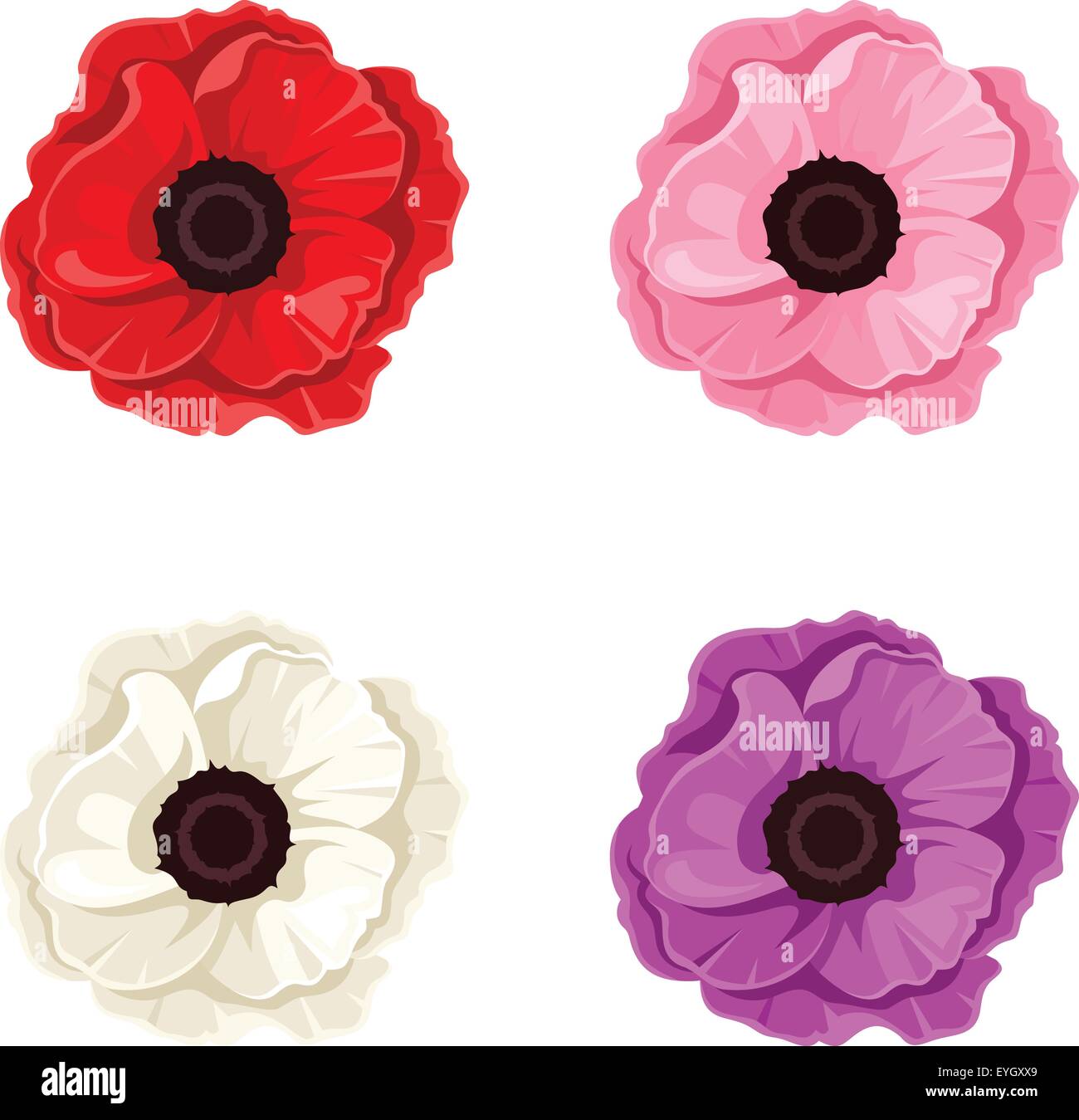 Four colorful poppies. Vector illustration Stock Vector Image & Art - Alamy