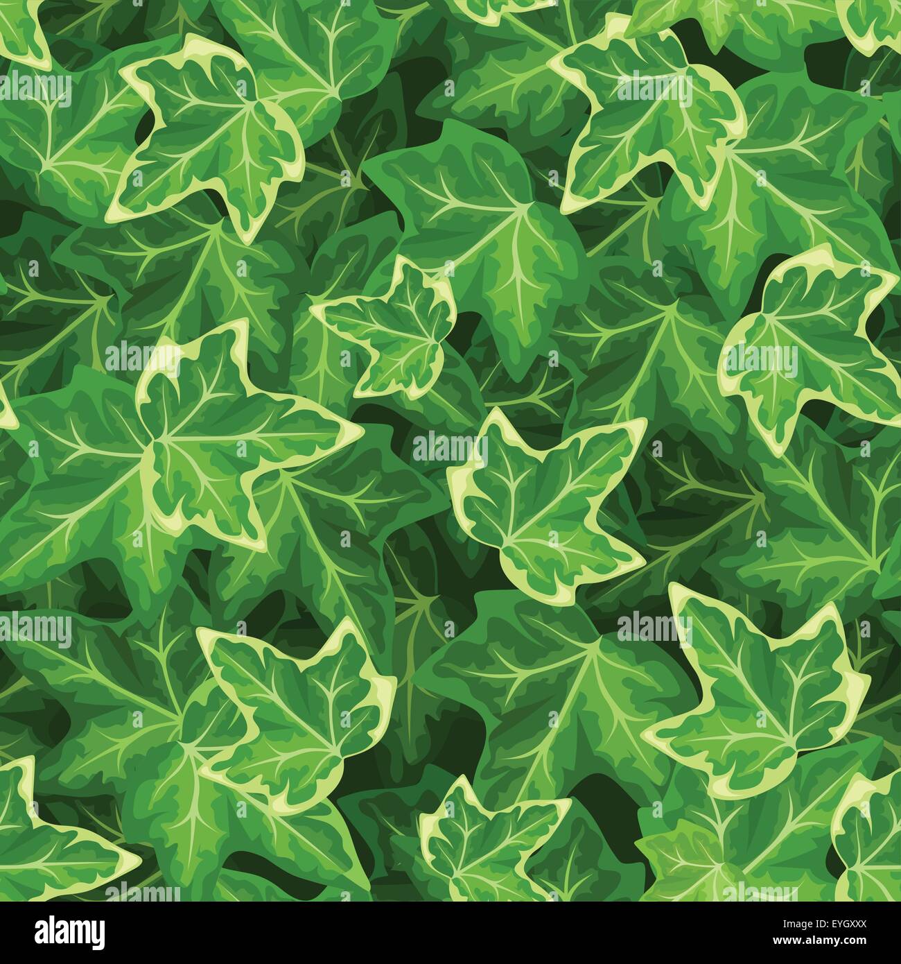Ivy houseplant Stock Vector Images - Alamy