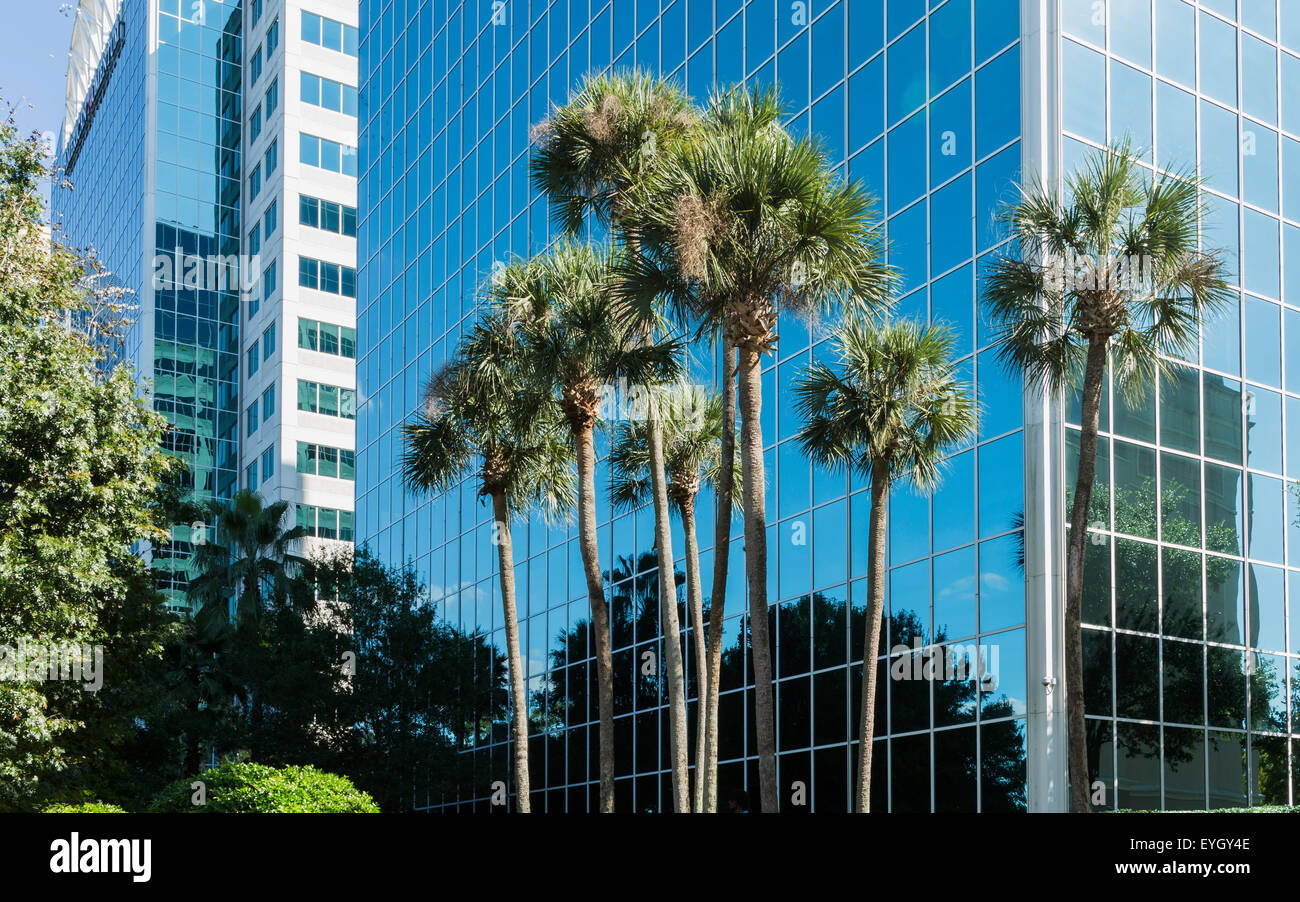 Downtown orlando florida buildings hi-res stock photography and images ...