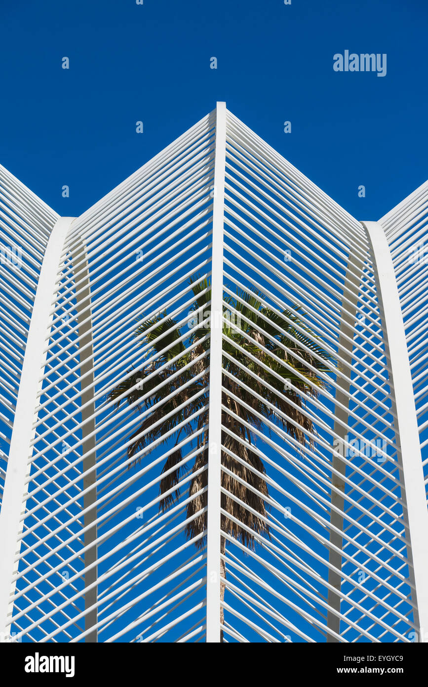 View Of Umbracle And Palm Trees In Ciudad De Las Artes Y Las Ciencias ...