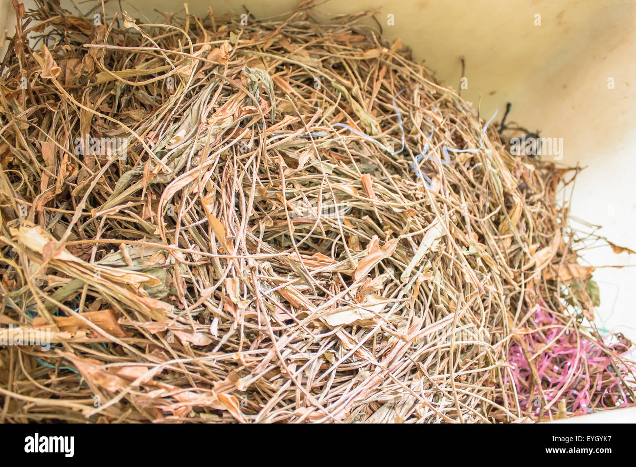 Raw tobacco hi-res stock photography and images - Alamy