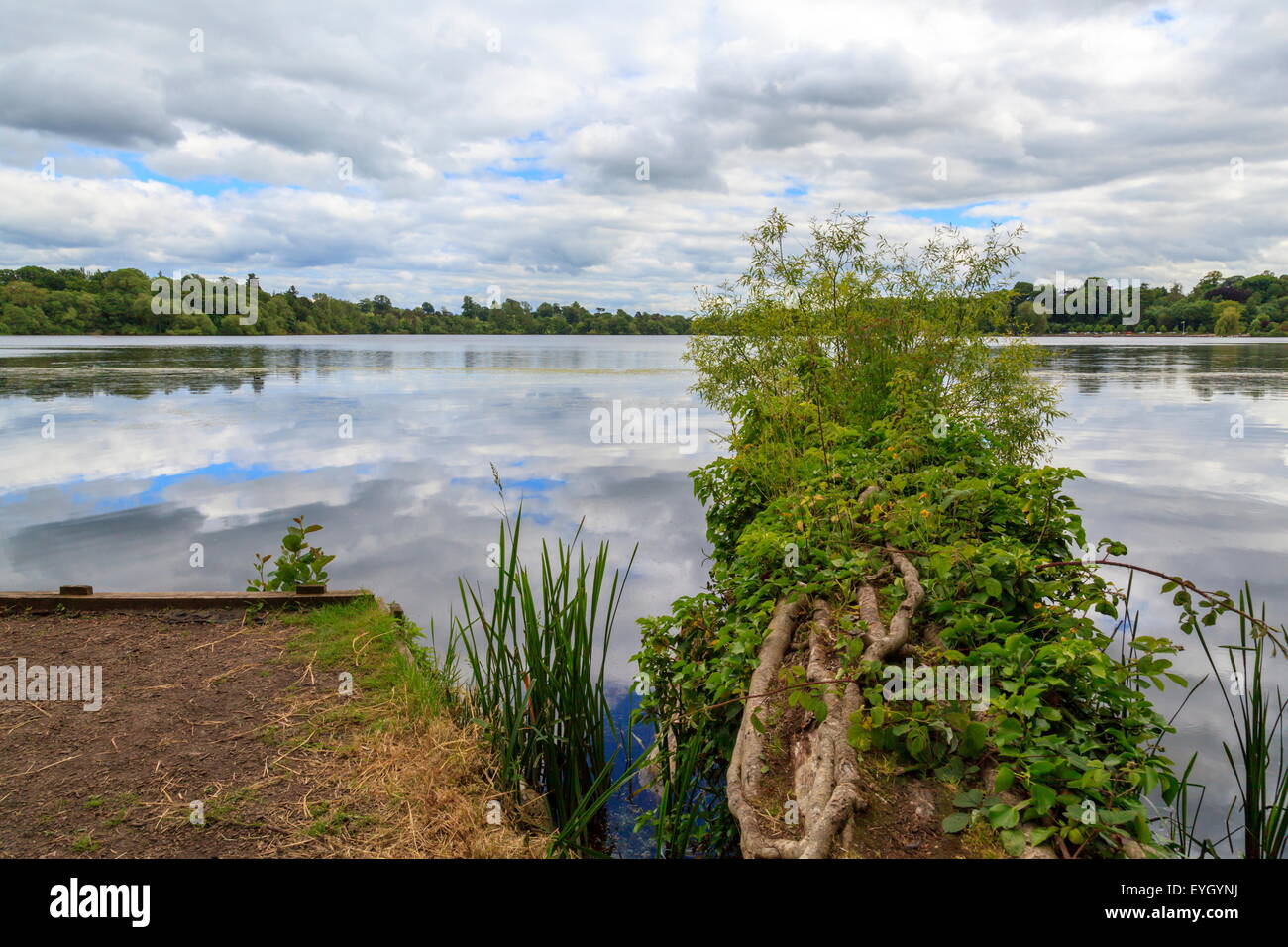 The Mere, Ellesmere, Shropshire Stock Photo - Alamy