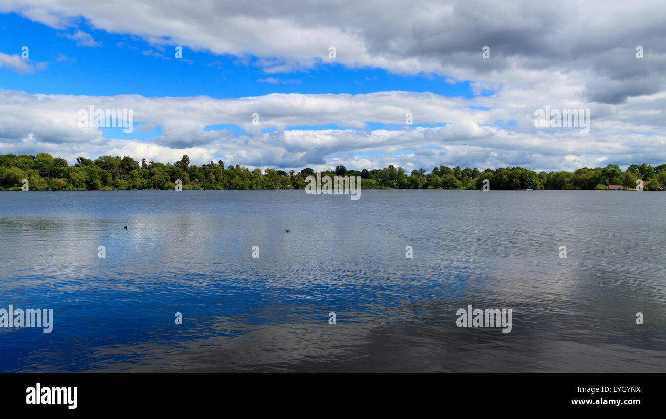 Panoramic view of the Mere, Ellesmere, Shropshire Stock Photo - Alamy