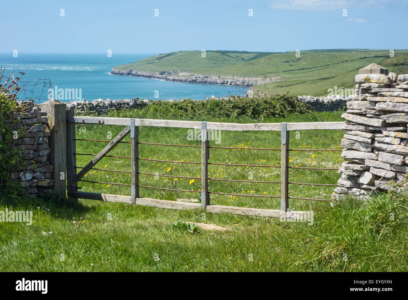 Gate way with Dorset Gate and Dorset coastline in background, near ...
