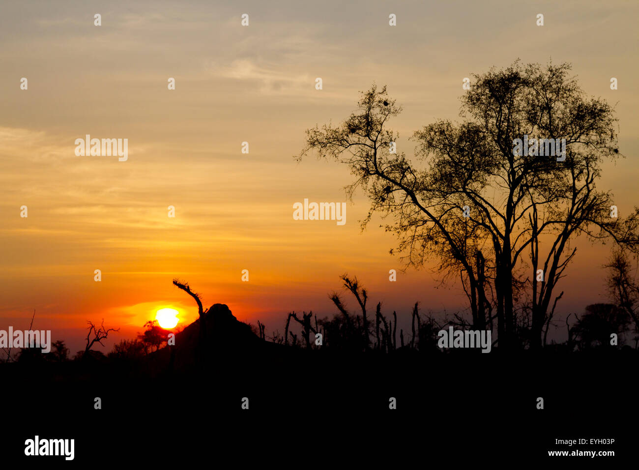Typical african sunset hi-res stock photography and images - Alamy