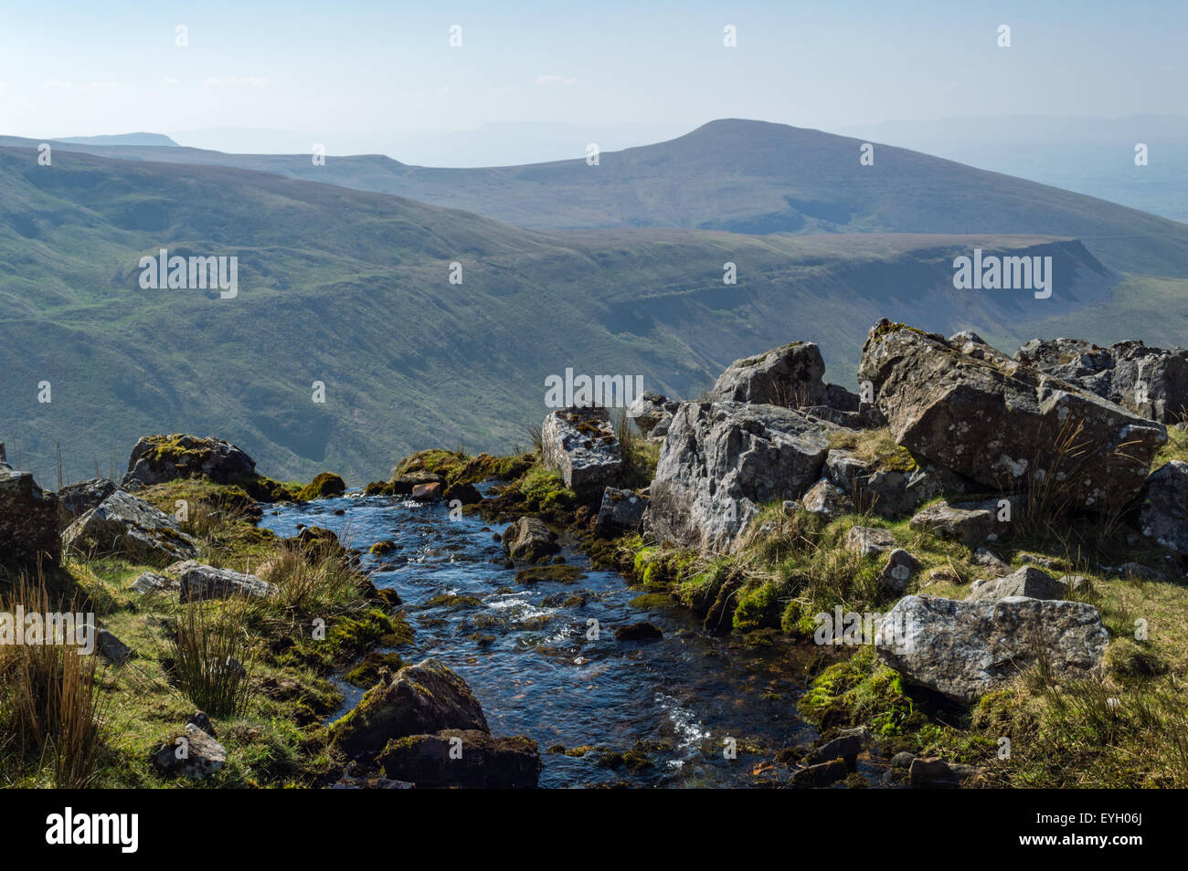 High cup nick spring hi-res stock photography and images - Alamy