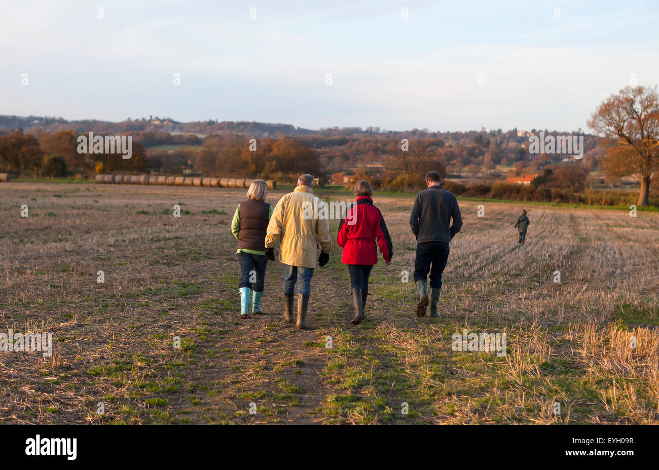 Children farm uk rear view hi-res stock photography and images - Alamy