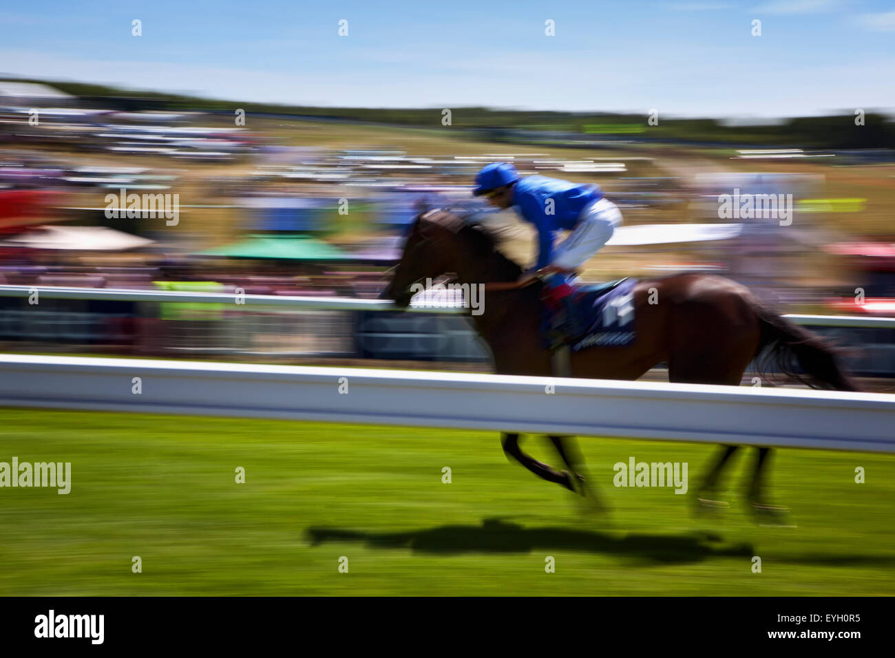 Epsom running hi-res stock photography and images - Alamy