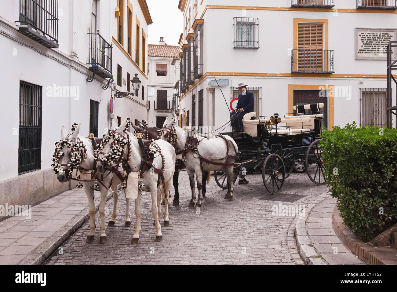 Horse Drawn Wagon In Santa Cruz District; Seville, Andalucia, Spain ...