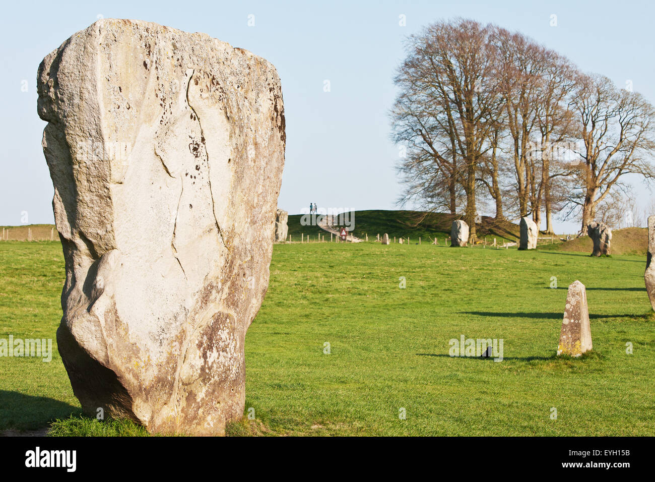 Boulder From Neolithic Henge; Avebury, Wiltshire, England, Uk Stock ...