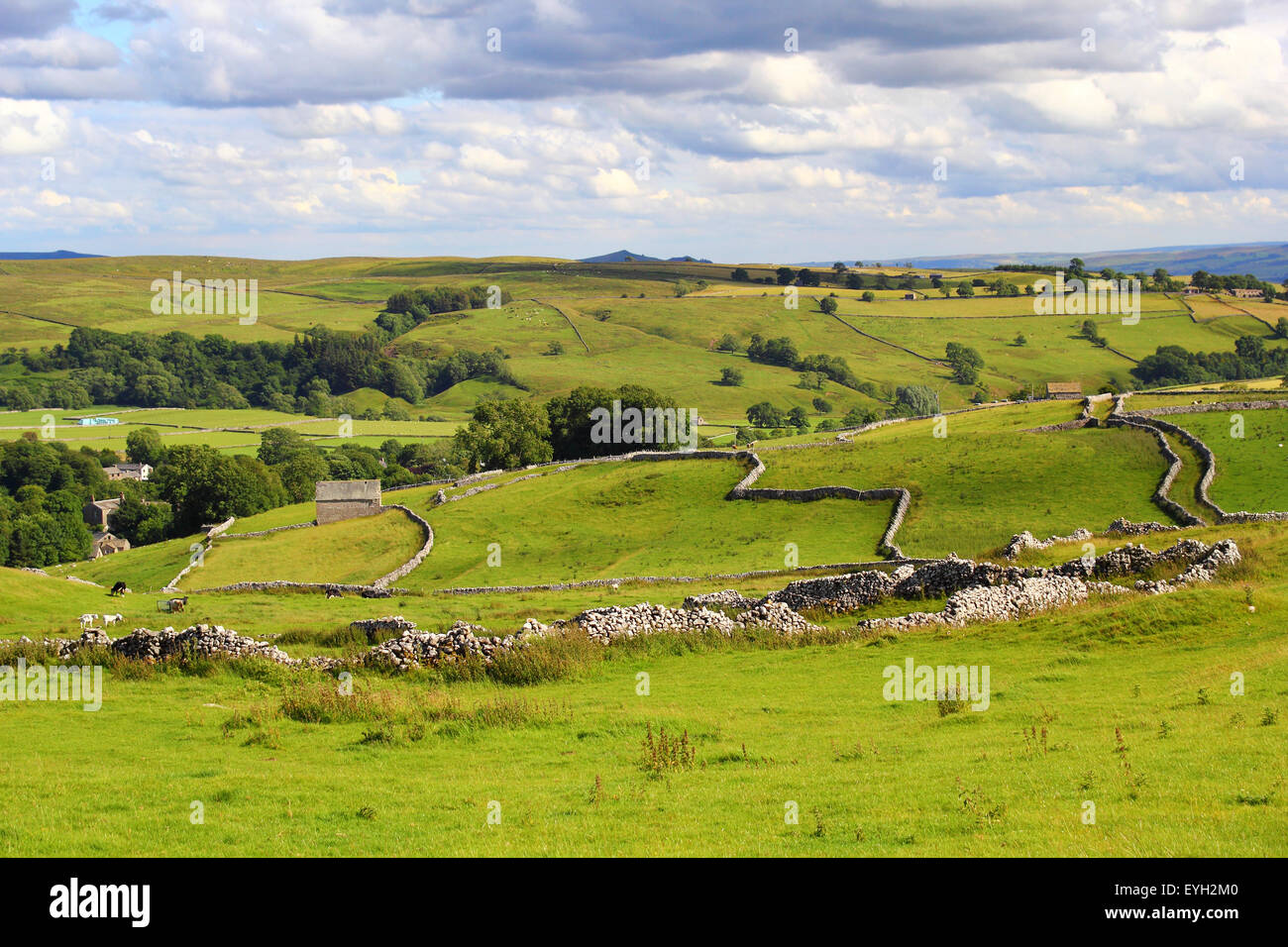 Beautiful landscape with stone walls, Yorkshire Dales, Malham, England ...