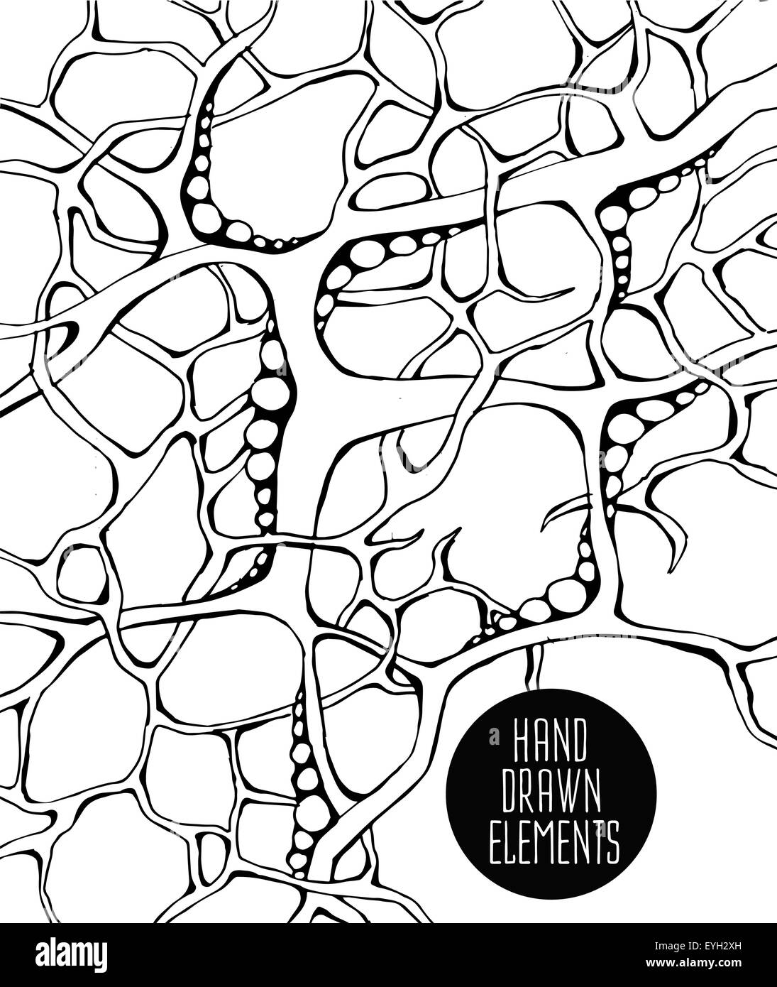 Deciduous tr Black and White Stock Photos & Images - Alamy