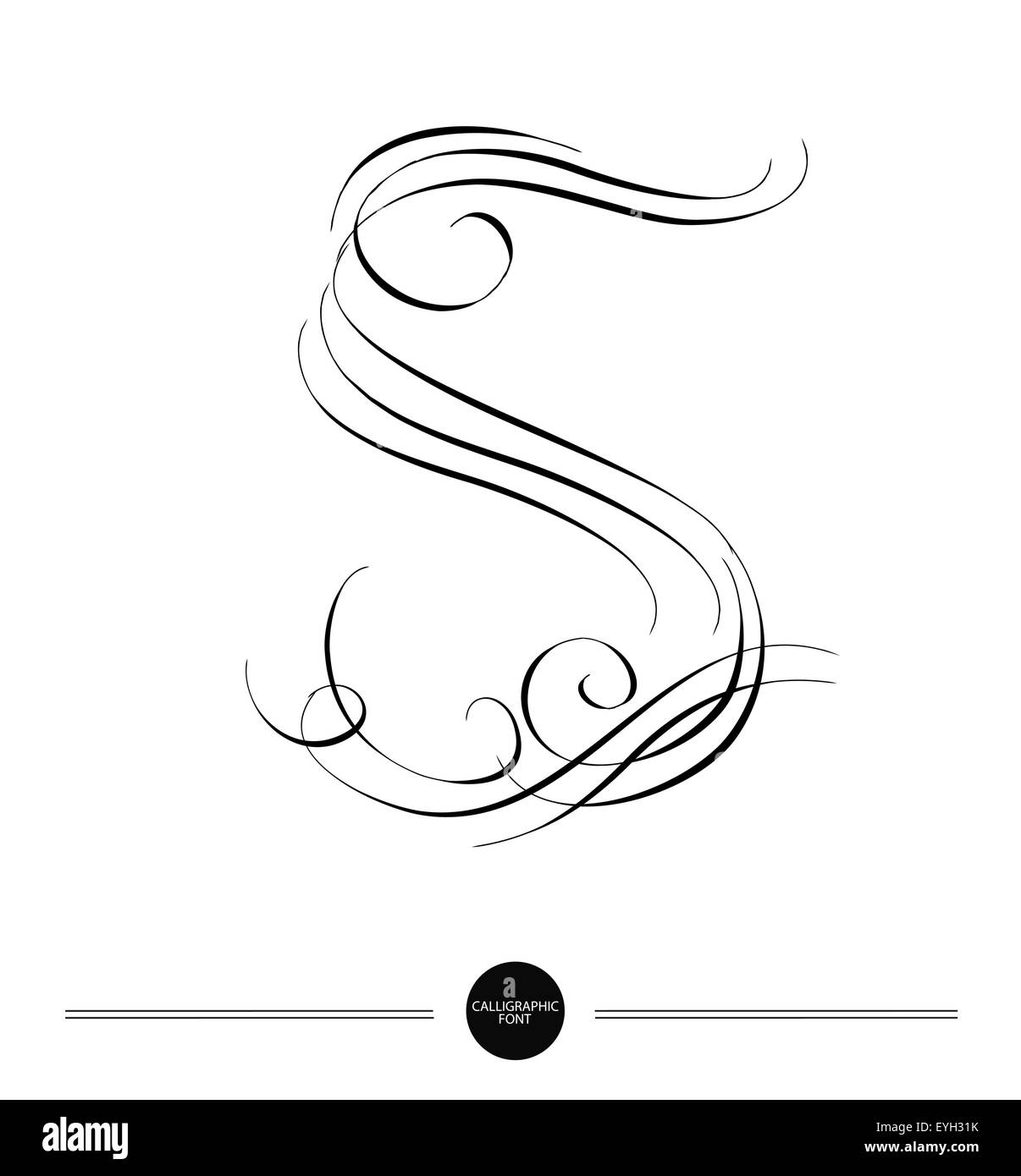 Calligraphic letter. Abstract font Stock Vector Image & Art - Alamy