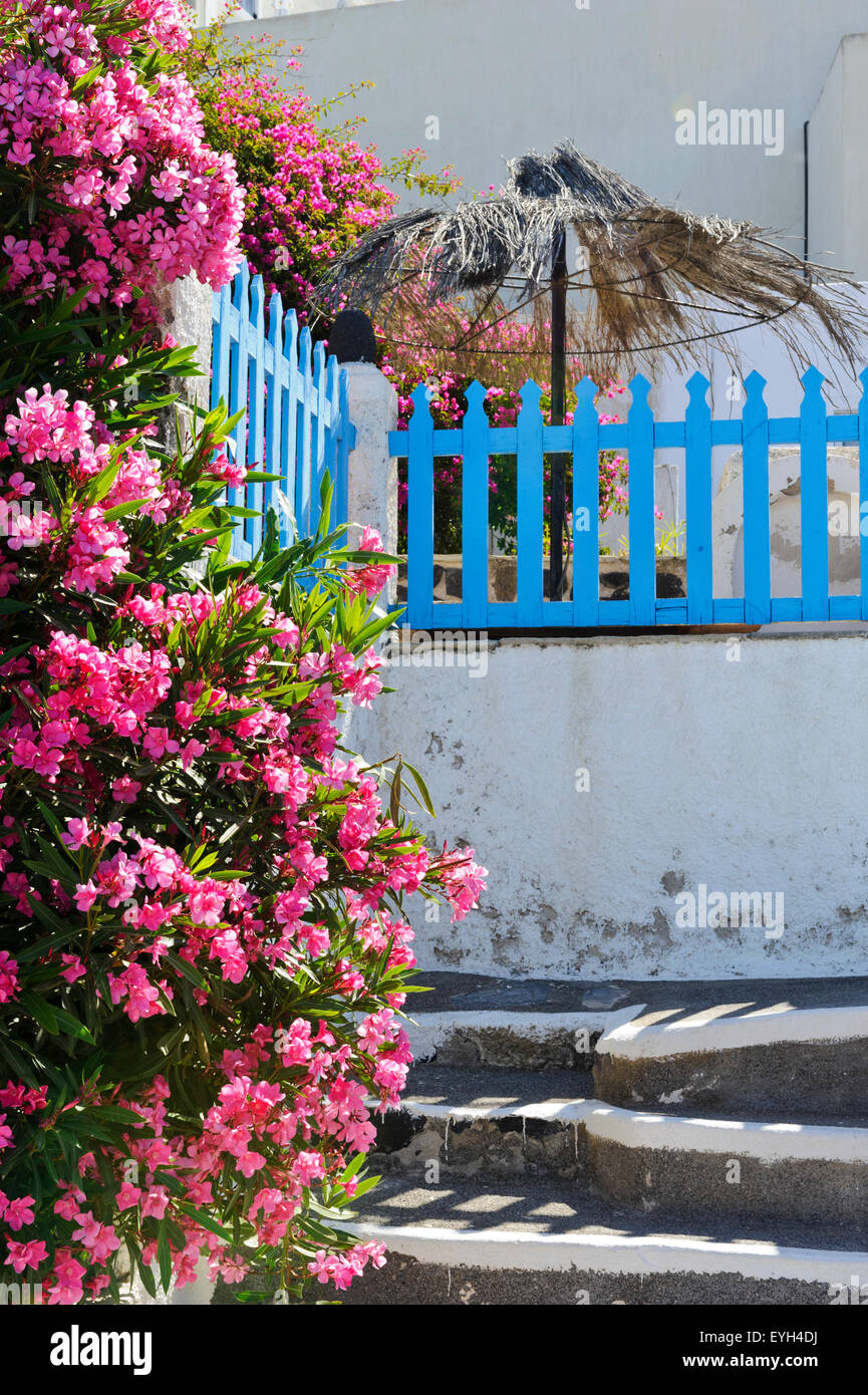 A typical scene on the Caldera with plant with flowers and colourful ...