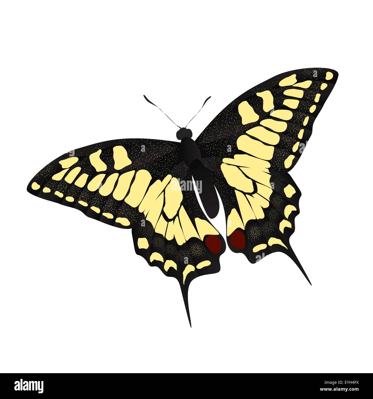 Butterfly Vector Illustration Stock Vector Image & Art - Alamy