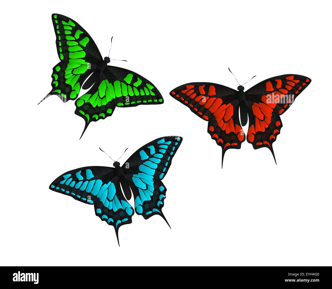 Butterfly Vector Illustration Stock Vector Image & Art - Alamy