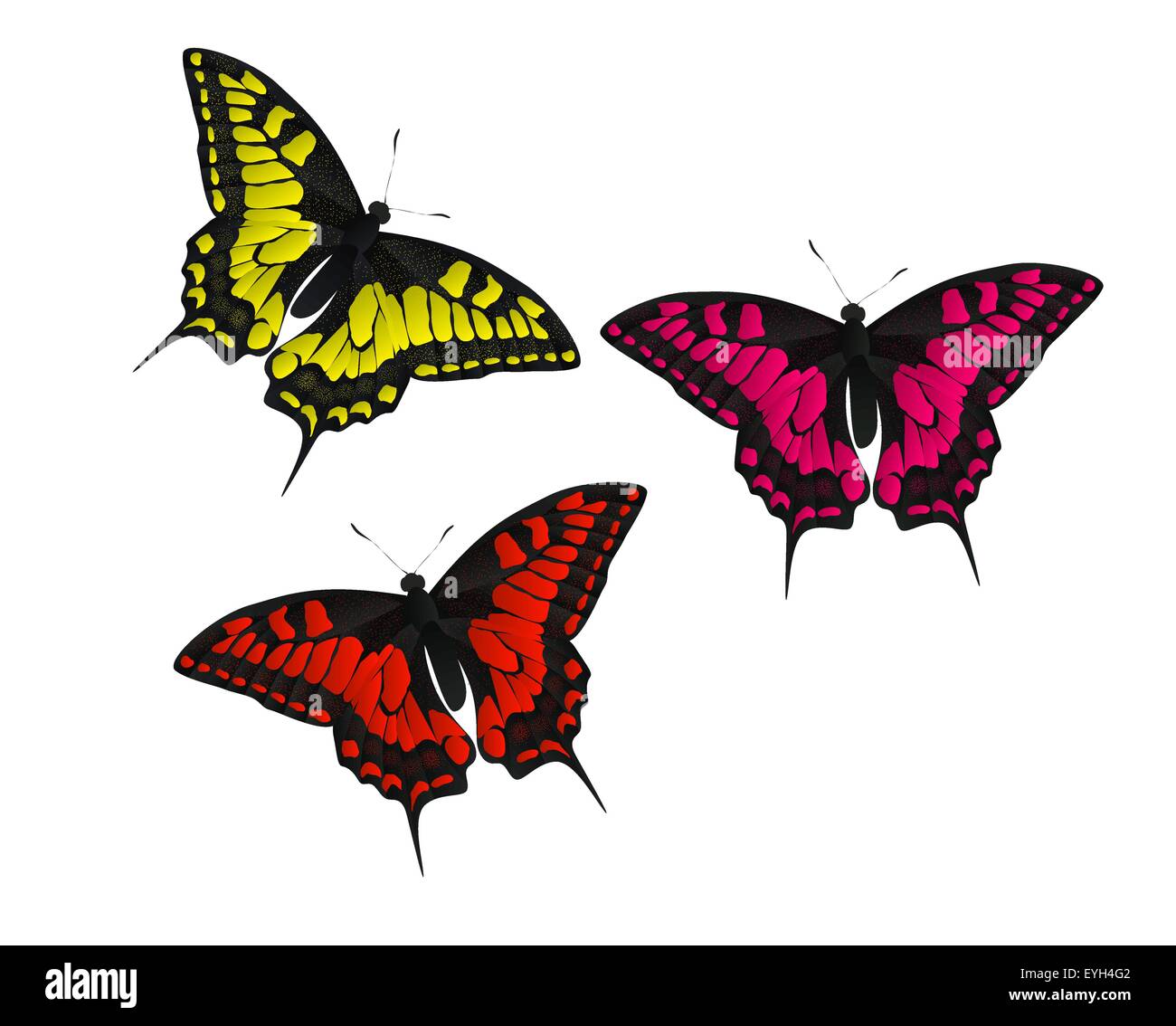 Butterfly Vector Illustration Stock Vector Image & Art - Alamy