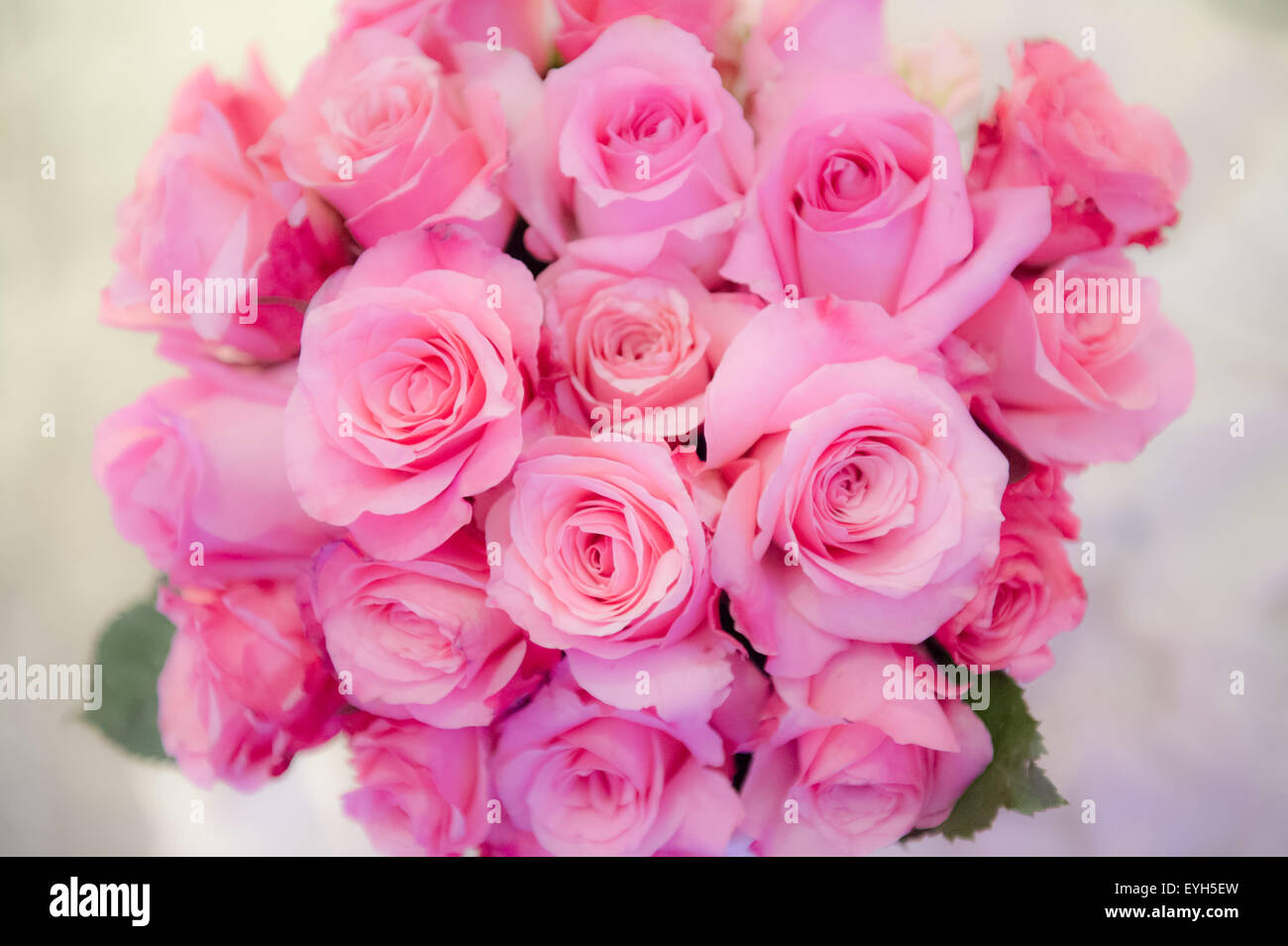 Pink roses bouquet 1 Stock Photo - Alamy