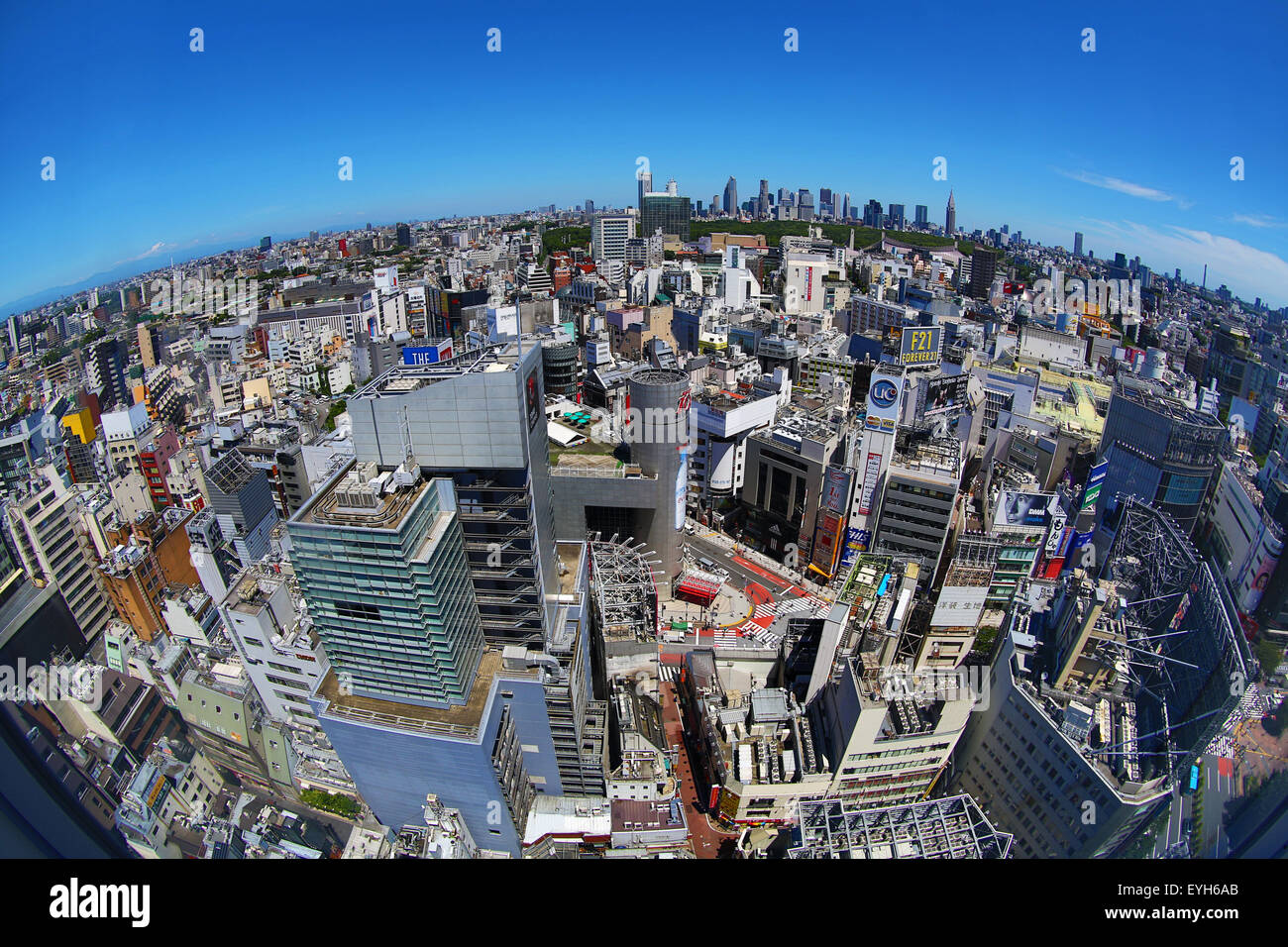 General view of the city skyline of Shinjuku seen from Shibuya, Tokyo, Japan Stock Photo - Alamy