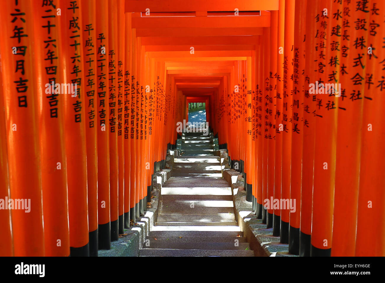 Red Torii Gate tunnel at the Hie-Jinja Shinto Shrine, Tokyo, Japan ...