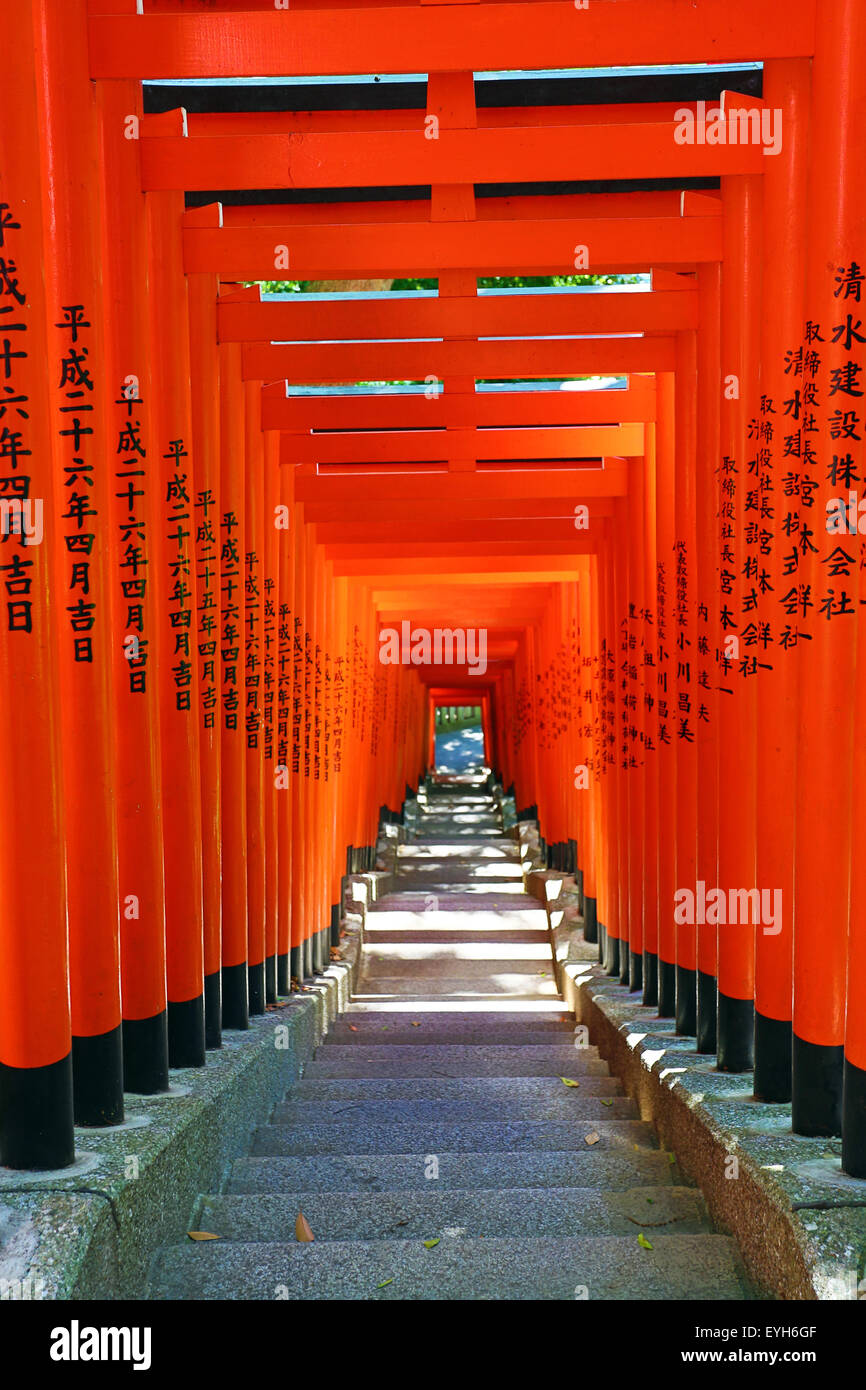 Red Torii Gate tunnel at the Hie-Jinja Shinto Shrine, Tokyo, Japan ...