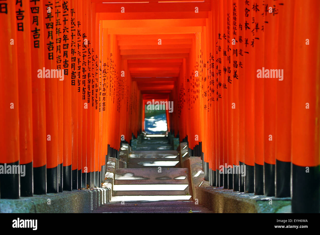Red Torii Gate tunnel at the Hie-Jinja Shinto Shrine, Tokyo, Japan ...