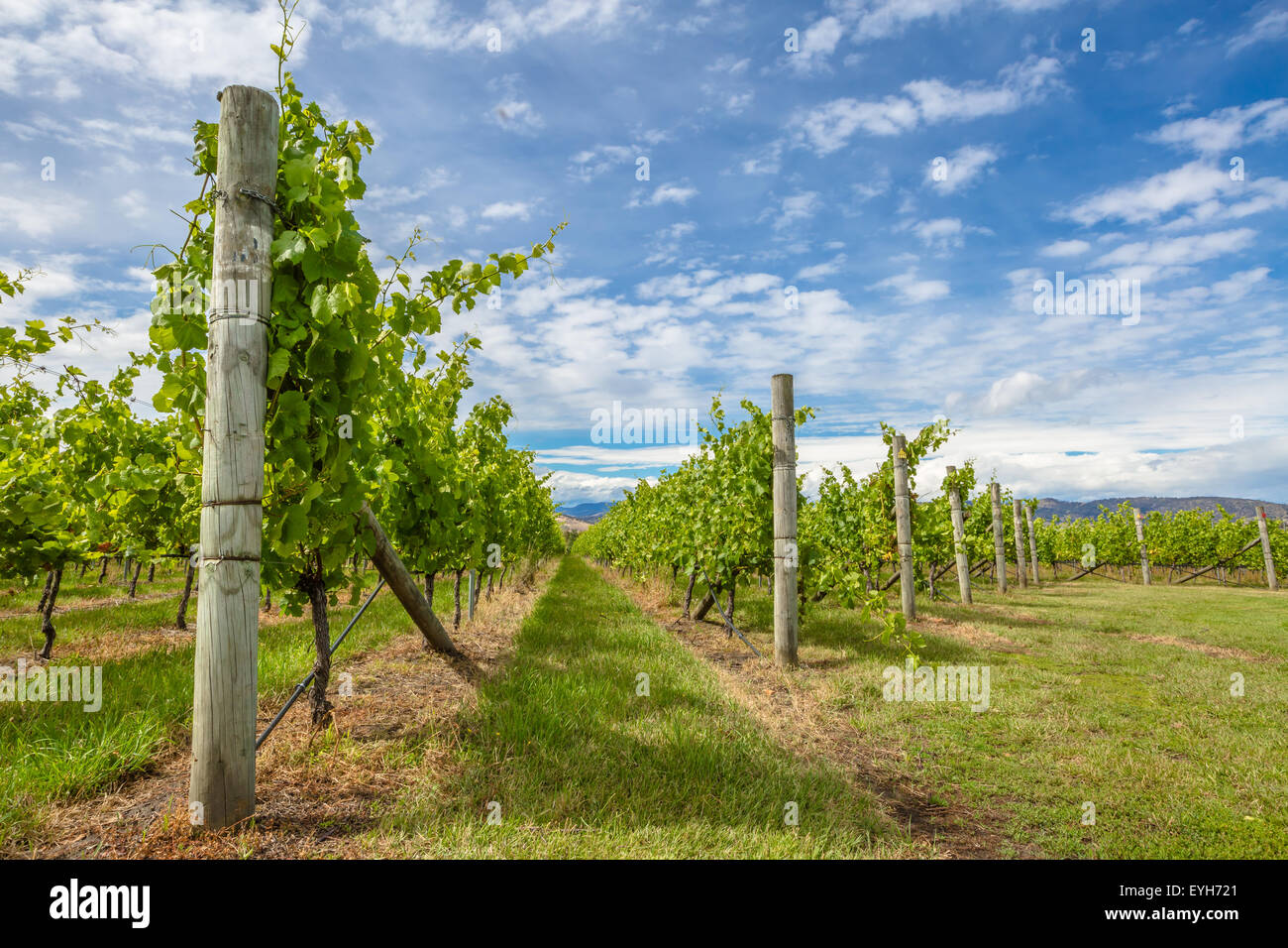 Cambridge tasmania hi-res stock photography and images - Alamy