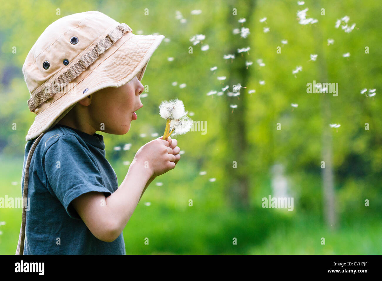 Child Blowing Dandelion