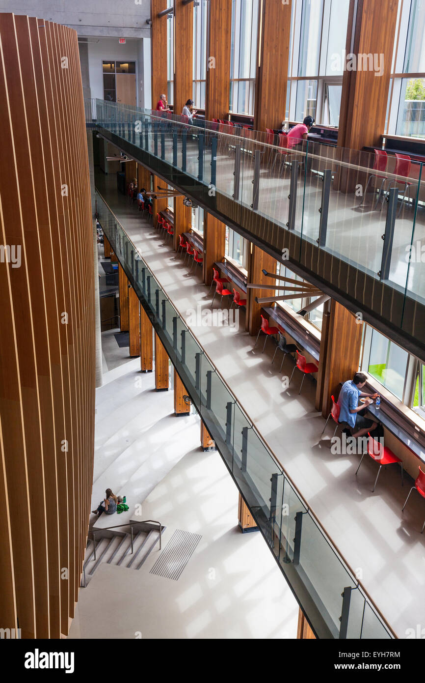 Students eating and studying on multiple levels of the new student ...