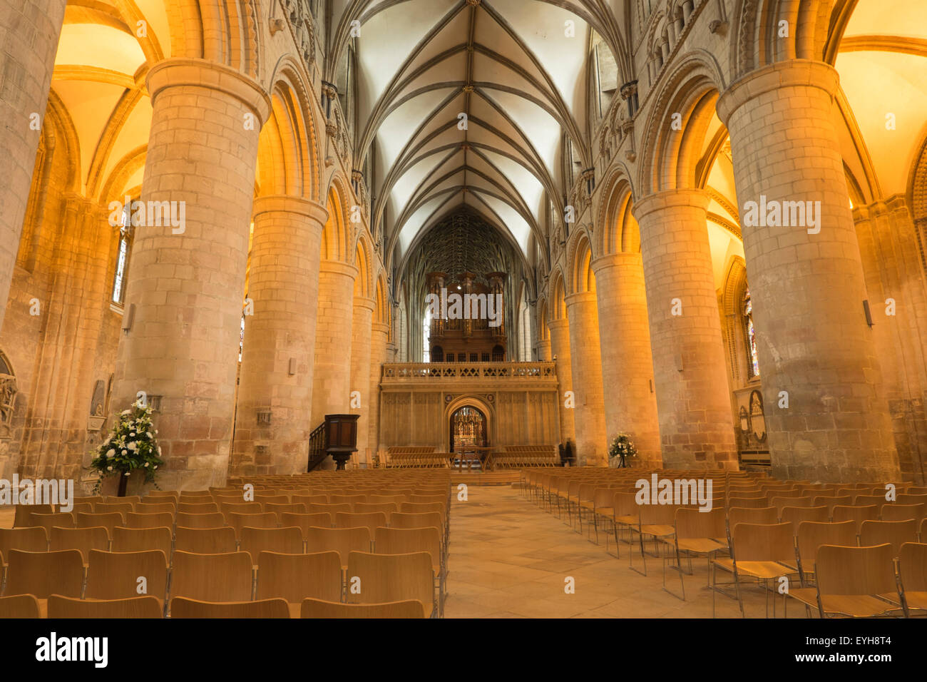 Gloucester cathedral nave columns hi-res stock photography and images ...