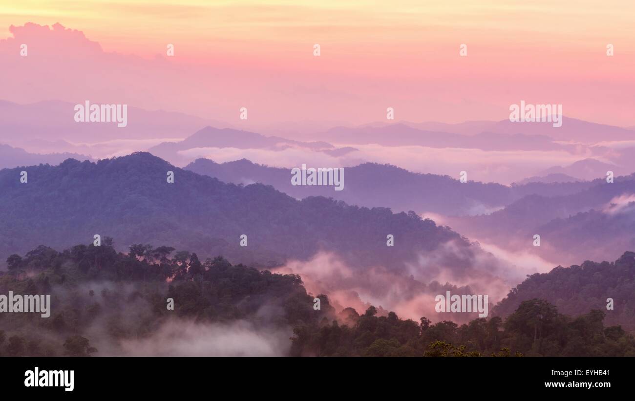 Beautiful twilight tropical mountain mist in rain forest Stock Photo ...
