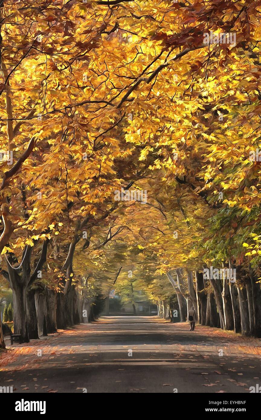 Autumn trees walkway digital painting Stock Photo - Alamy