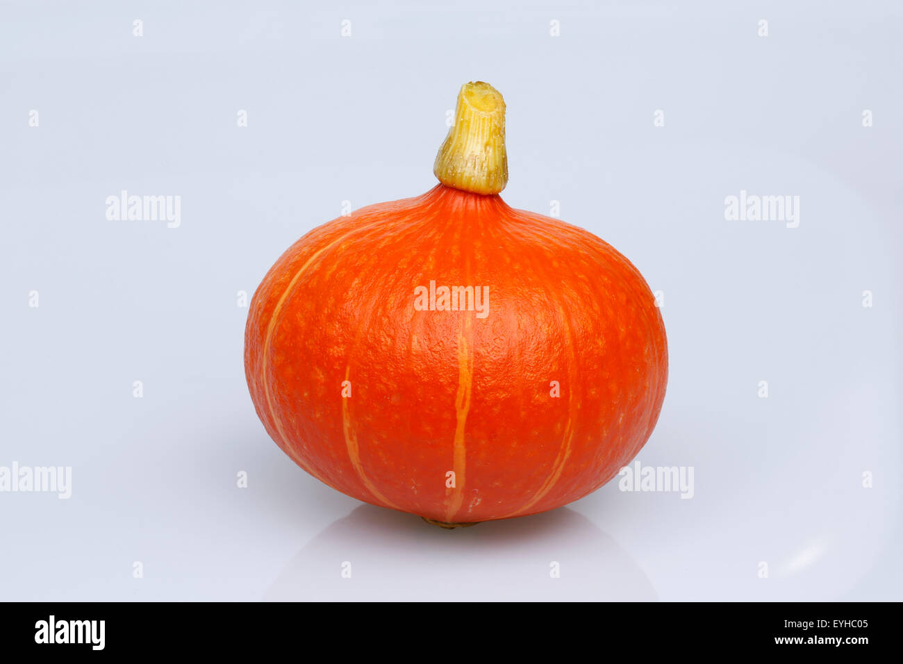 Hokkaido squash hi-res stock photography and images - Alamy
