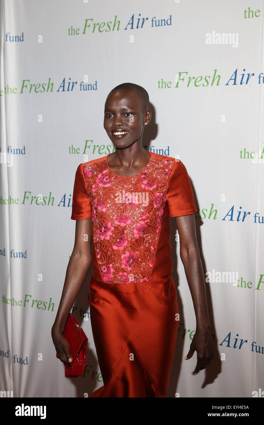 The Fresh Air Fund Salute To American Heroes - Arrivals Featuring ...