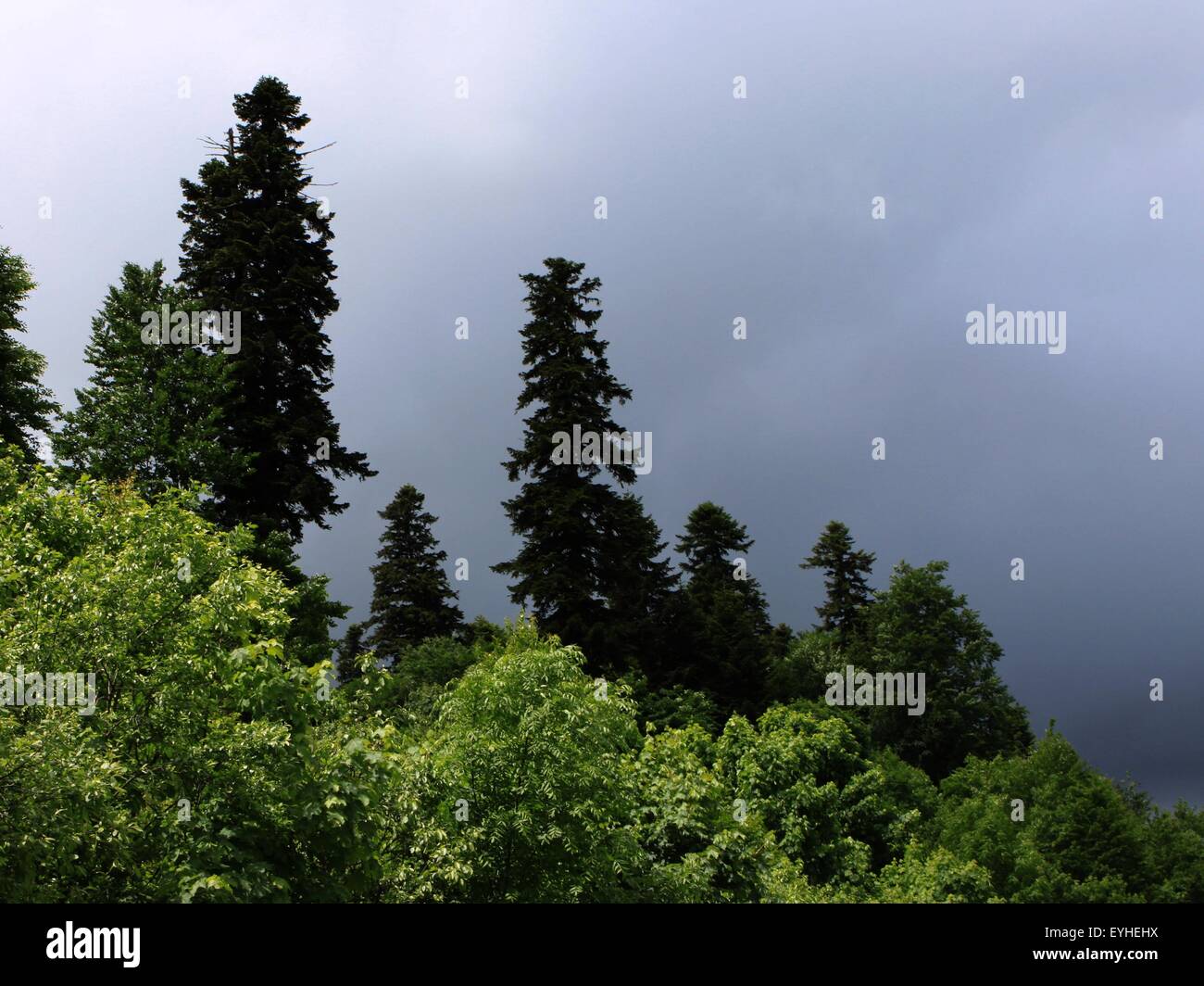 Landscape. Beautiful types of the nature in the photo Stock Photo - Alamy