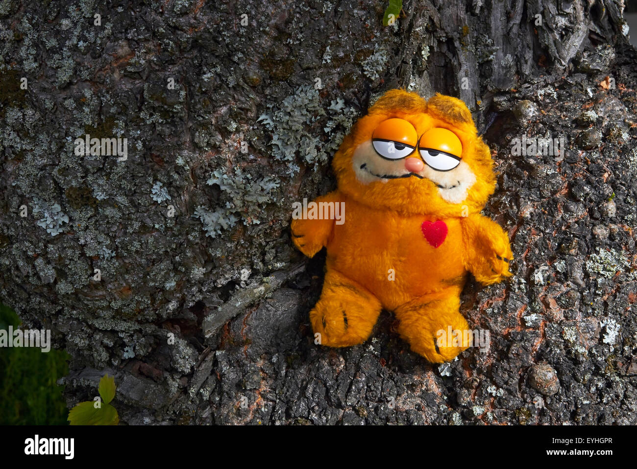 Garfield cartoon hi-res stock photography and images - Alamy