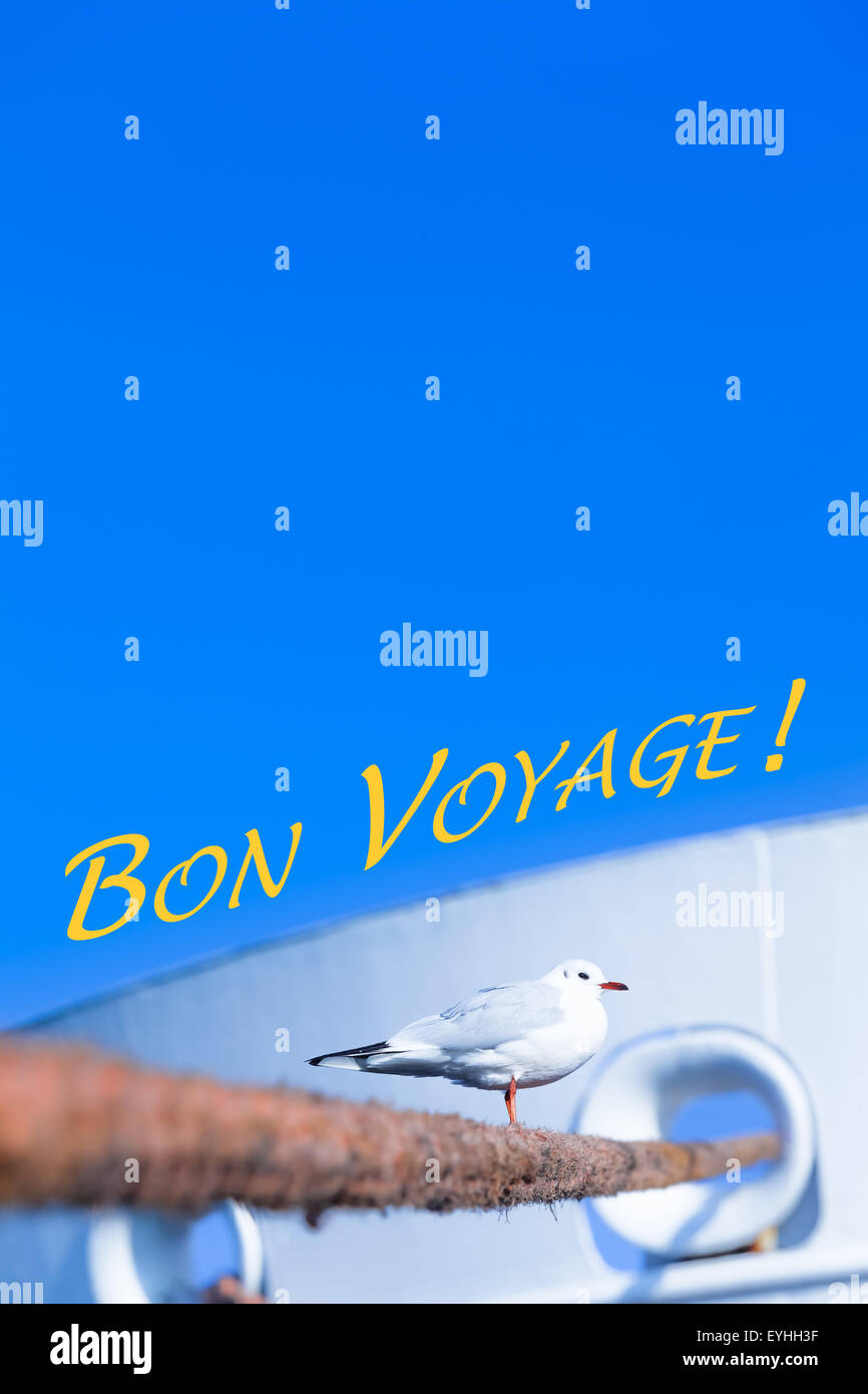 Scuttle the seagull hi-res stock photography and images - Alamy