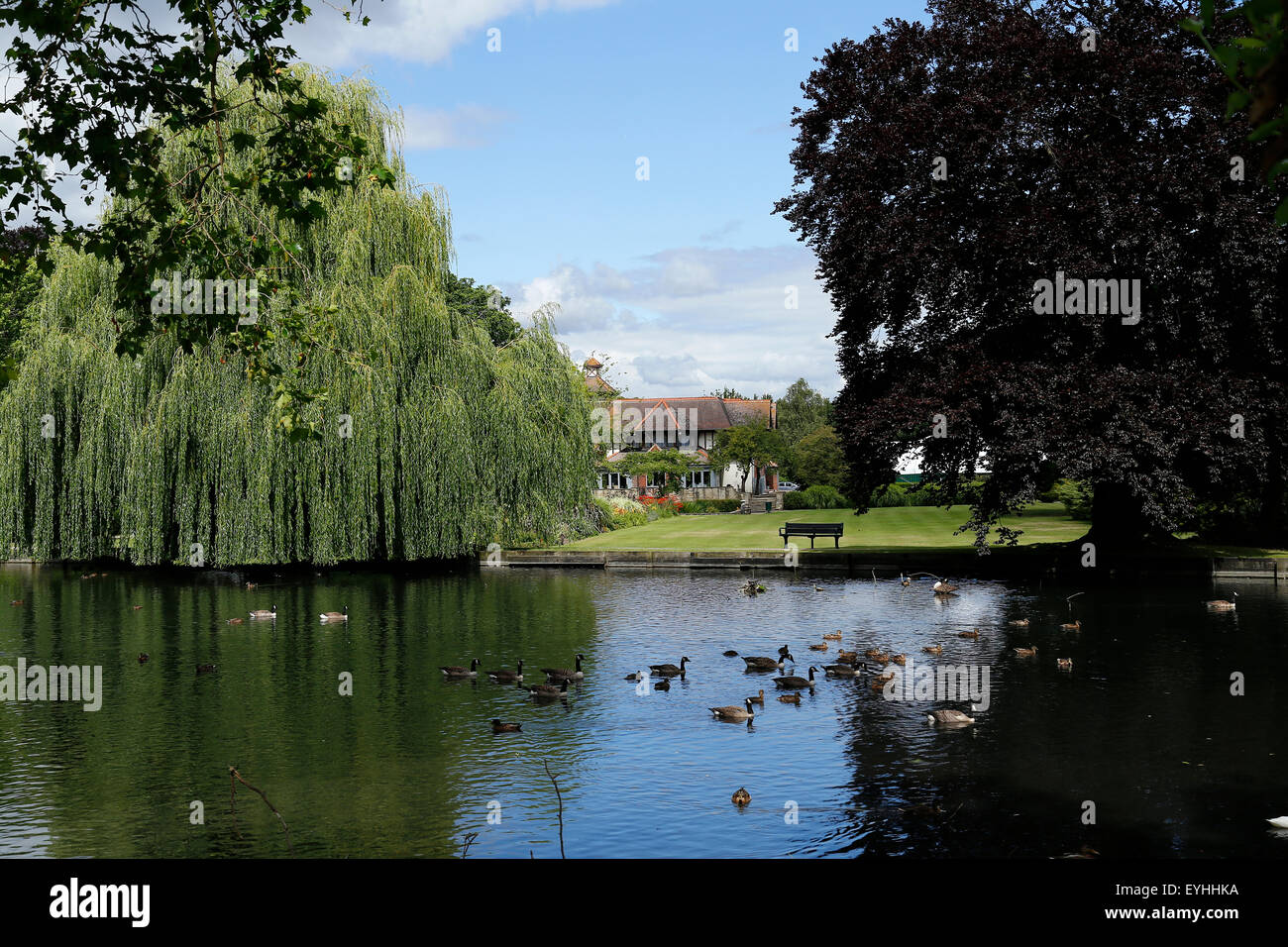 Beddington park hi-res stock photography and images - Alamy