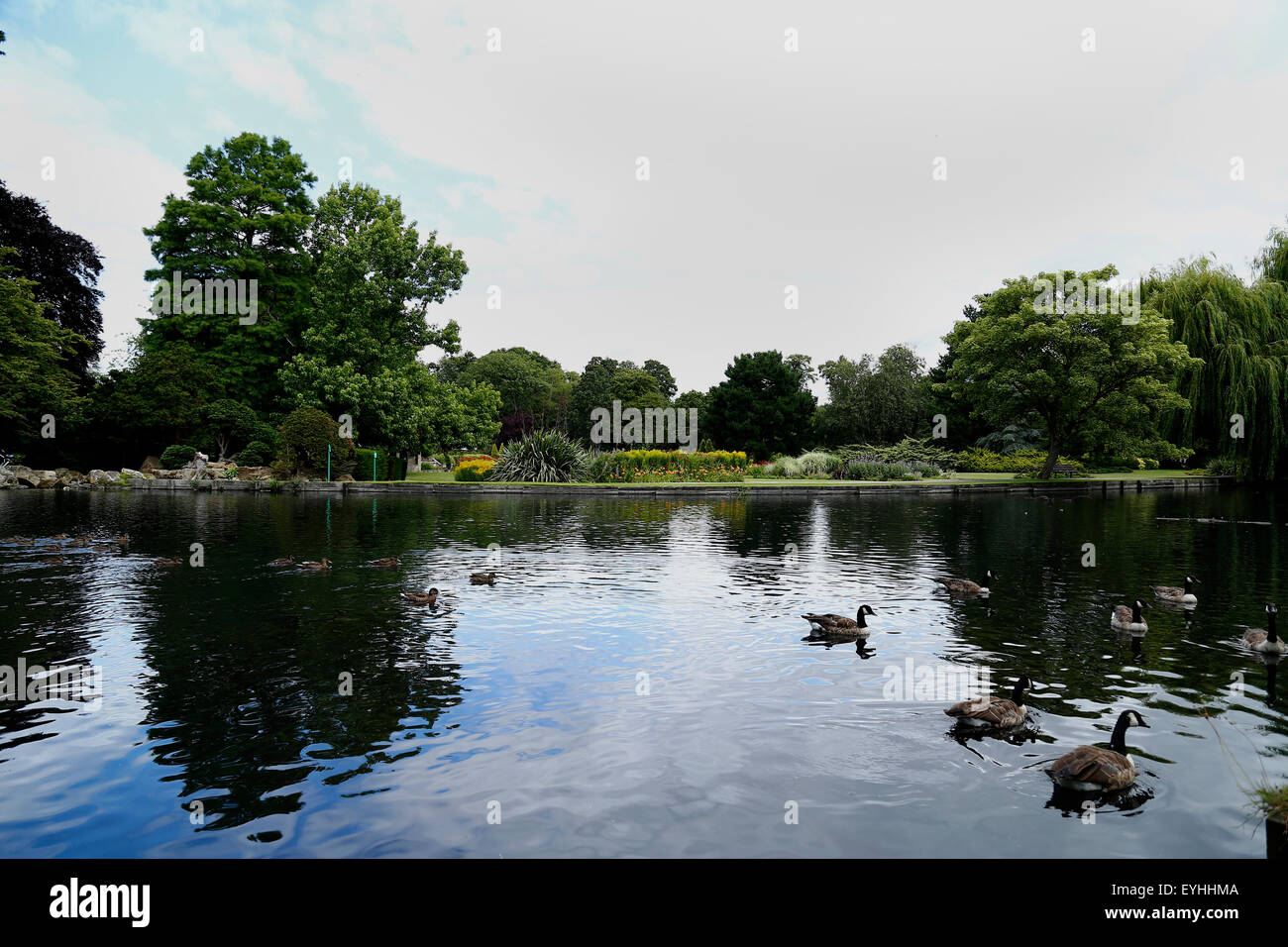 Beddington park wallington london hi-res stock photography and images ...