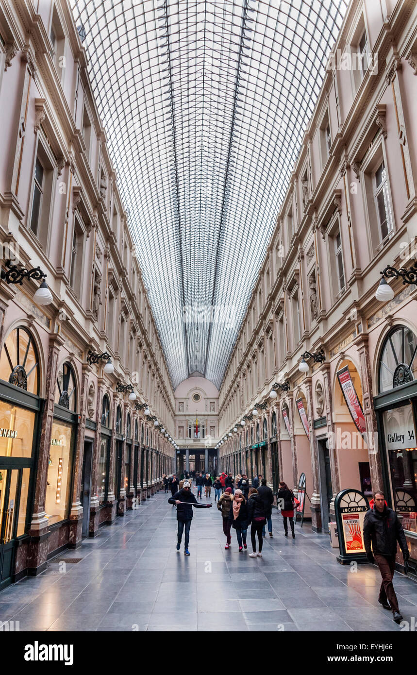 Royal saint hubert galleries hi-res stock photography and images - Alamy