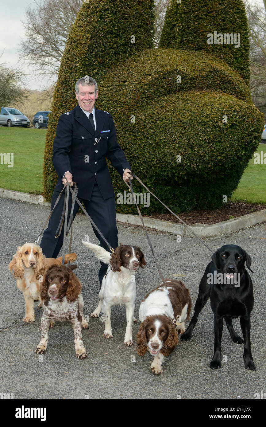 Service dog handler school hi-res stock photography and images - Alamy