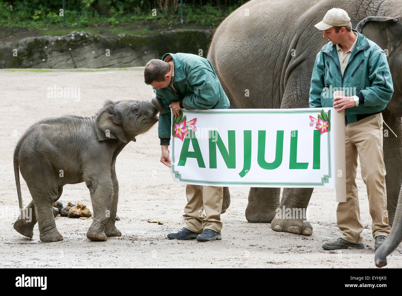Hamburg, Germany. 30th July, 2015. Zookeepers Christian Wentzel (L-R ...