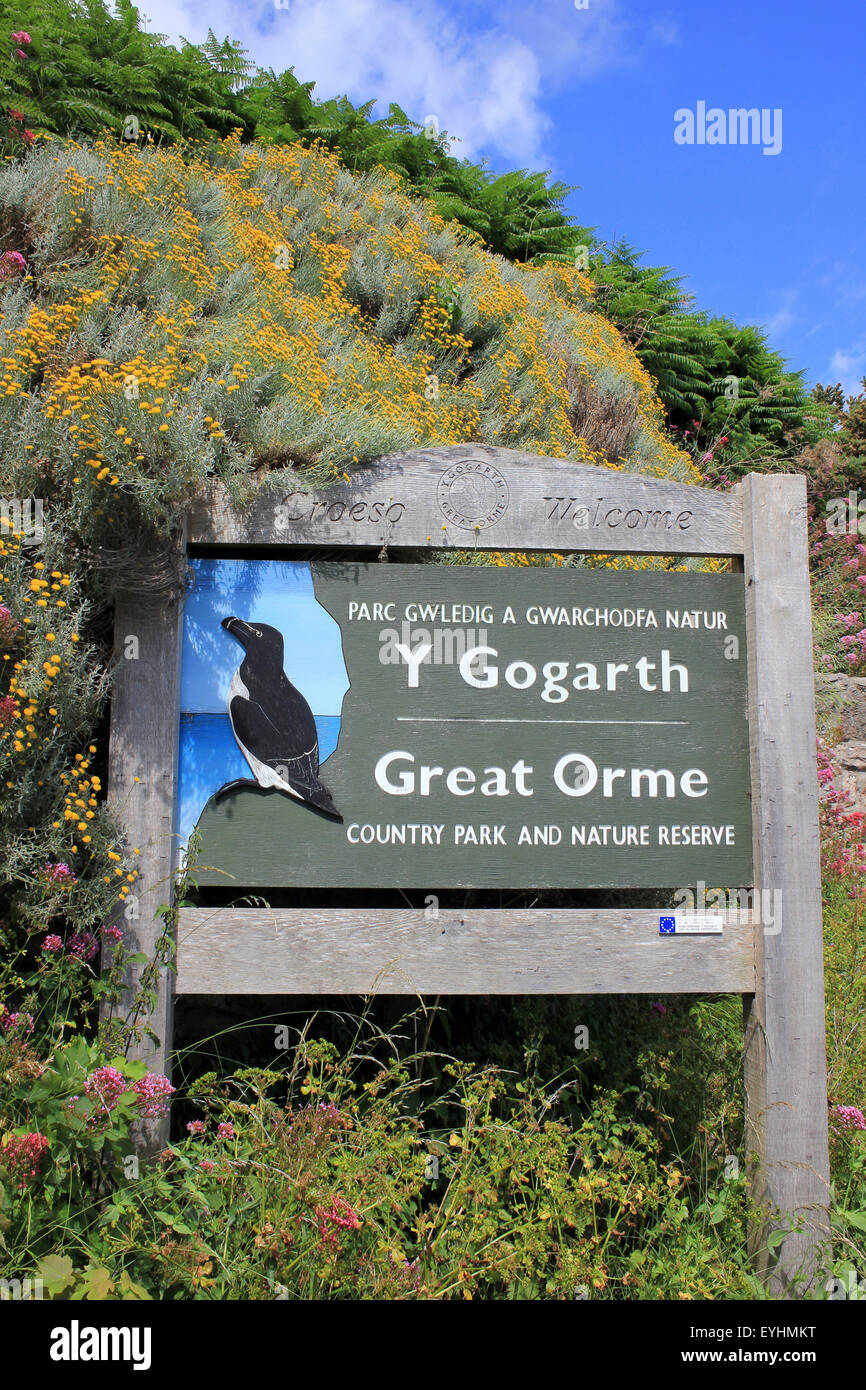 Y gogarth great orme country park hi-res stock photography and images ...