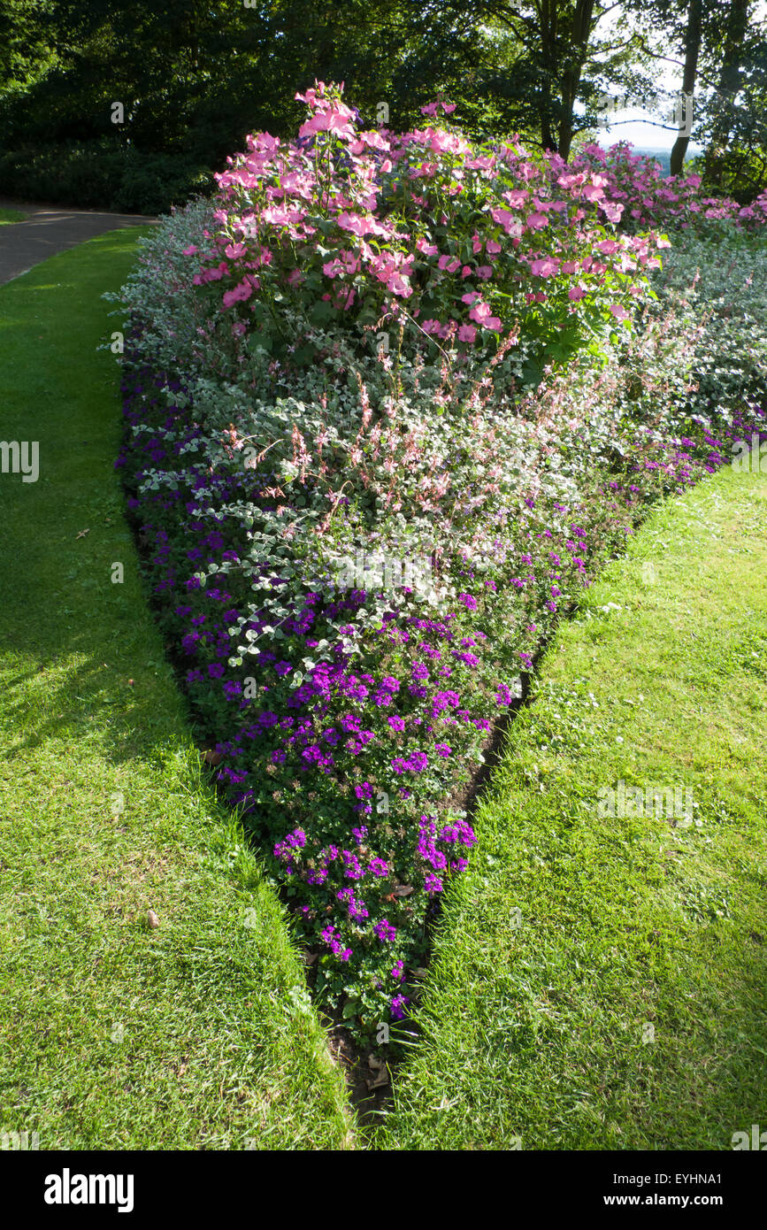 Richmond Park, England. Colourful flower bed in a "V" shape, in bloom ...