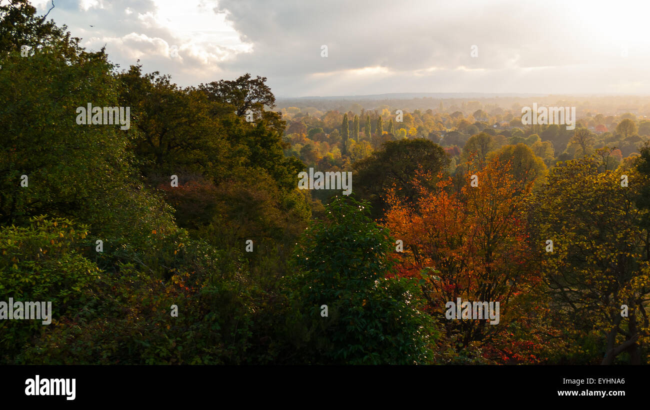 Changing seasons hi-res stock photography and images - Alamy