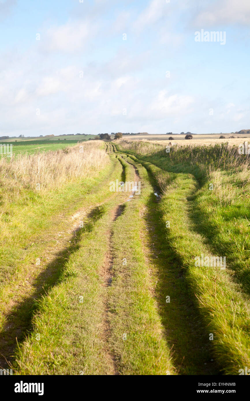 The Ridgeway long distance footpath dating from prehistory on Overton ...