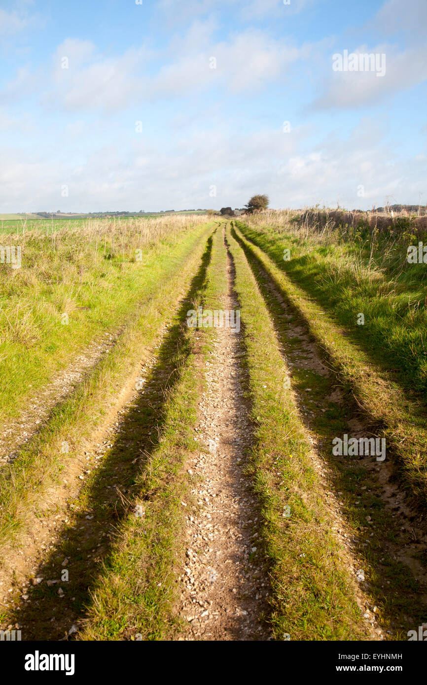 The Ridgeway long distance footpath dating from prehistory on Overton ...