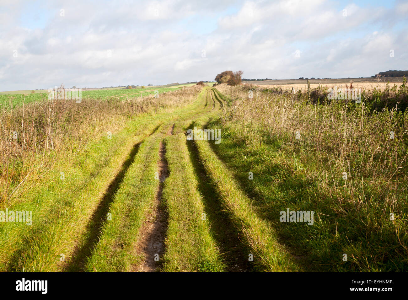 Ridgeway Long Distance Path High Resolution Stock Photography and ...