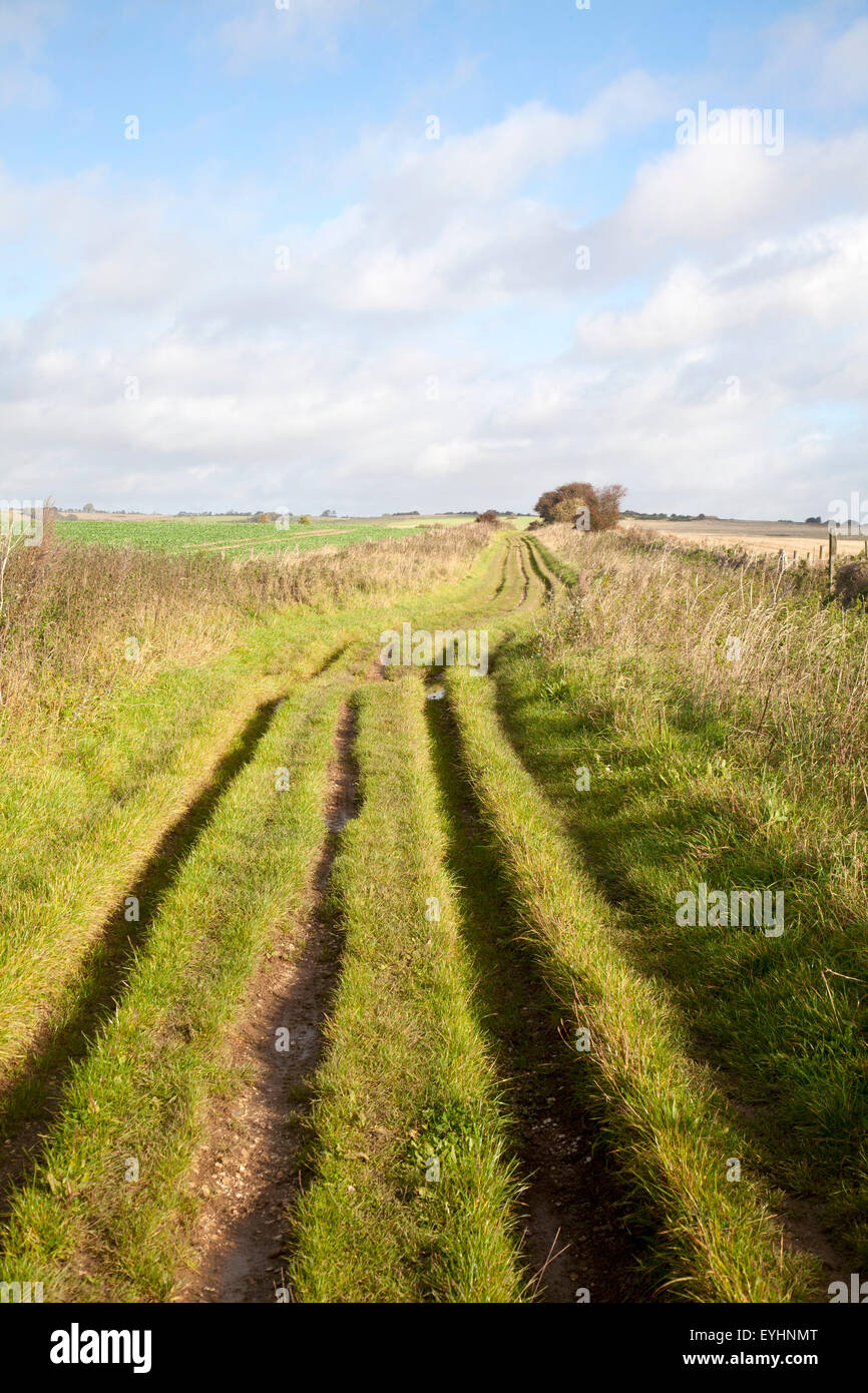 The Ridgeway long distance footpath dating from prehistory on Overton ...
